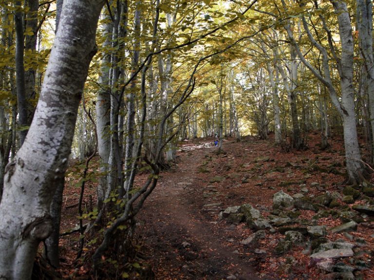 La Liguria in autunno - Il Blog di Residence di Liguria